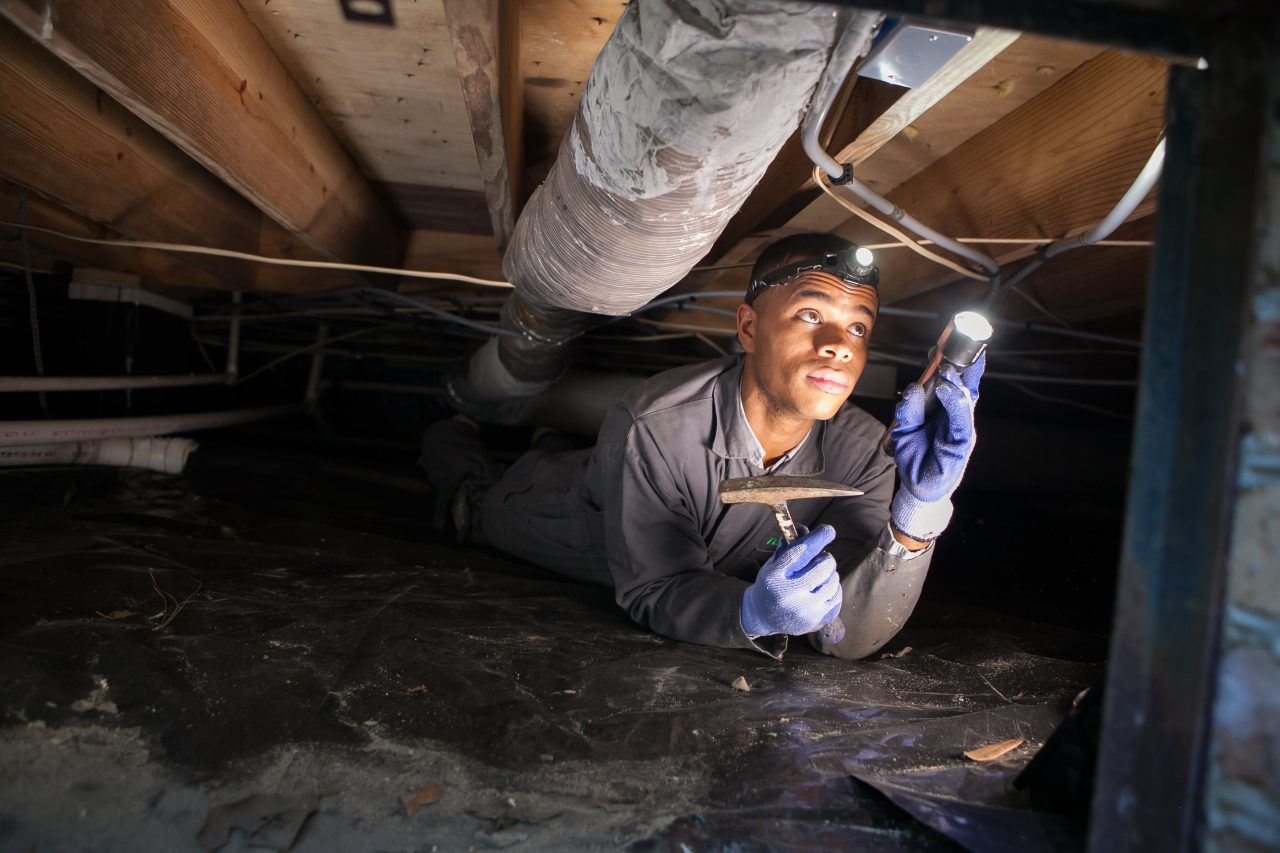 Termite Treatment Services | Trust Terminix